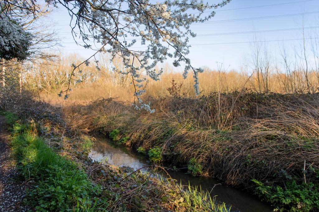 Admiral Park | VIVID